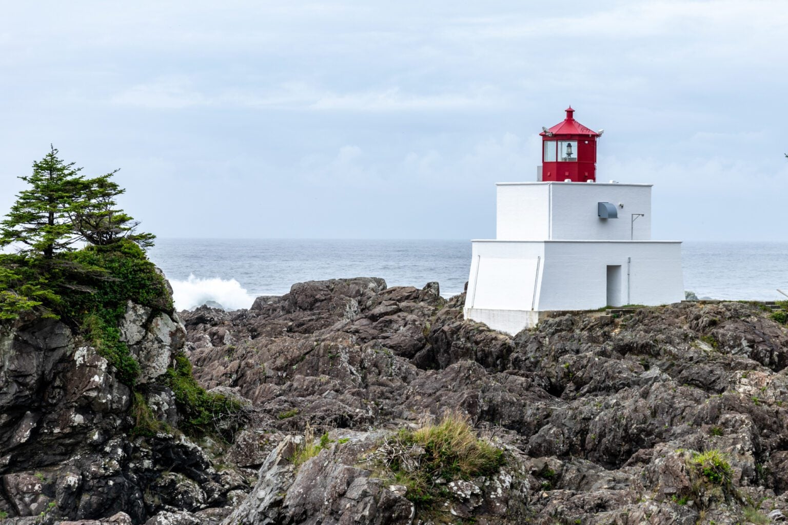 A Spectacular Vancouver Island Road Trip Itinerary (7 Days)