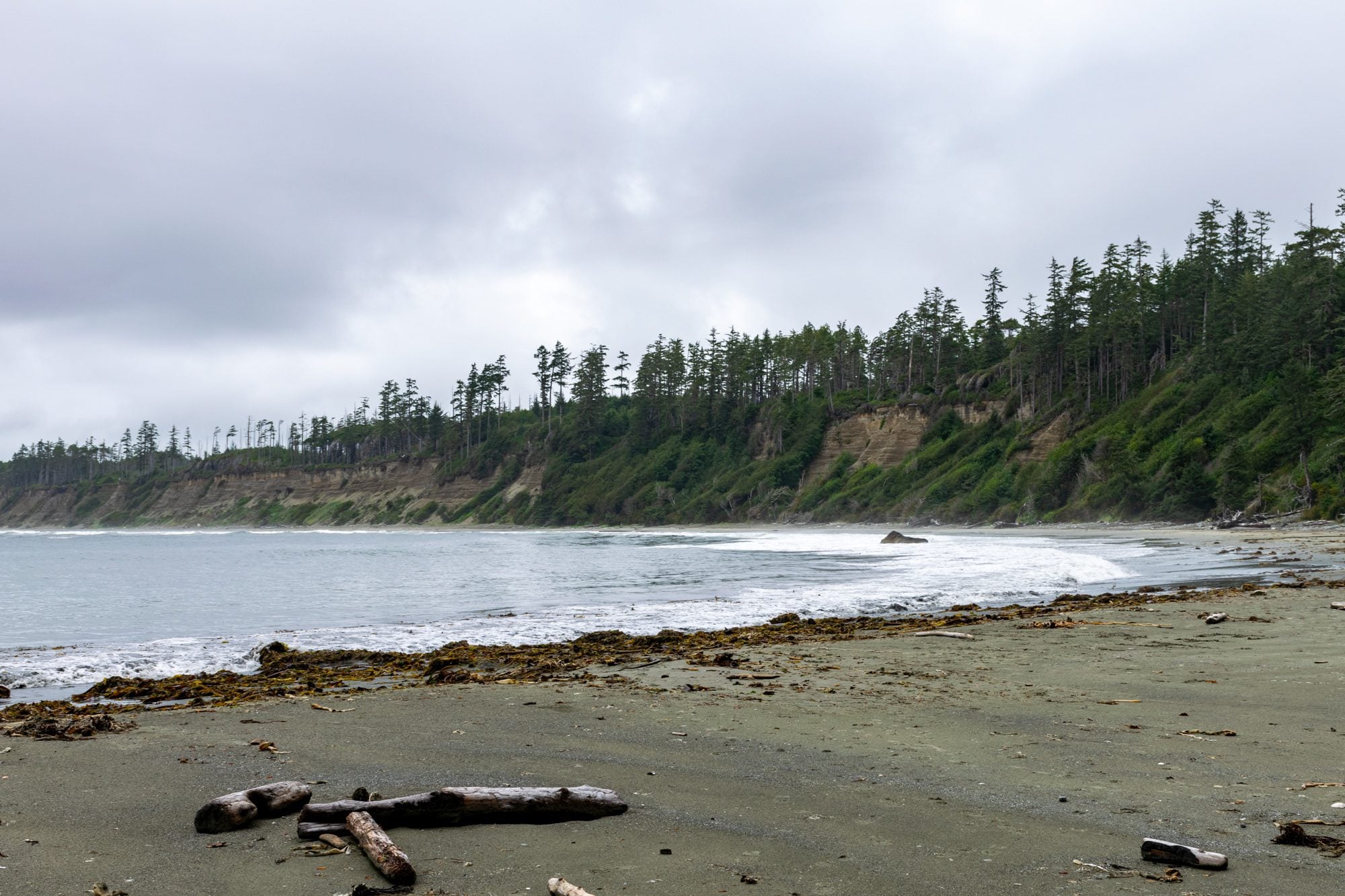 A Spectacular Vancouver Island Road Trip Itinerary (7 Days)