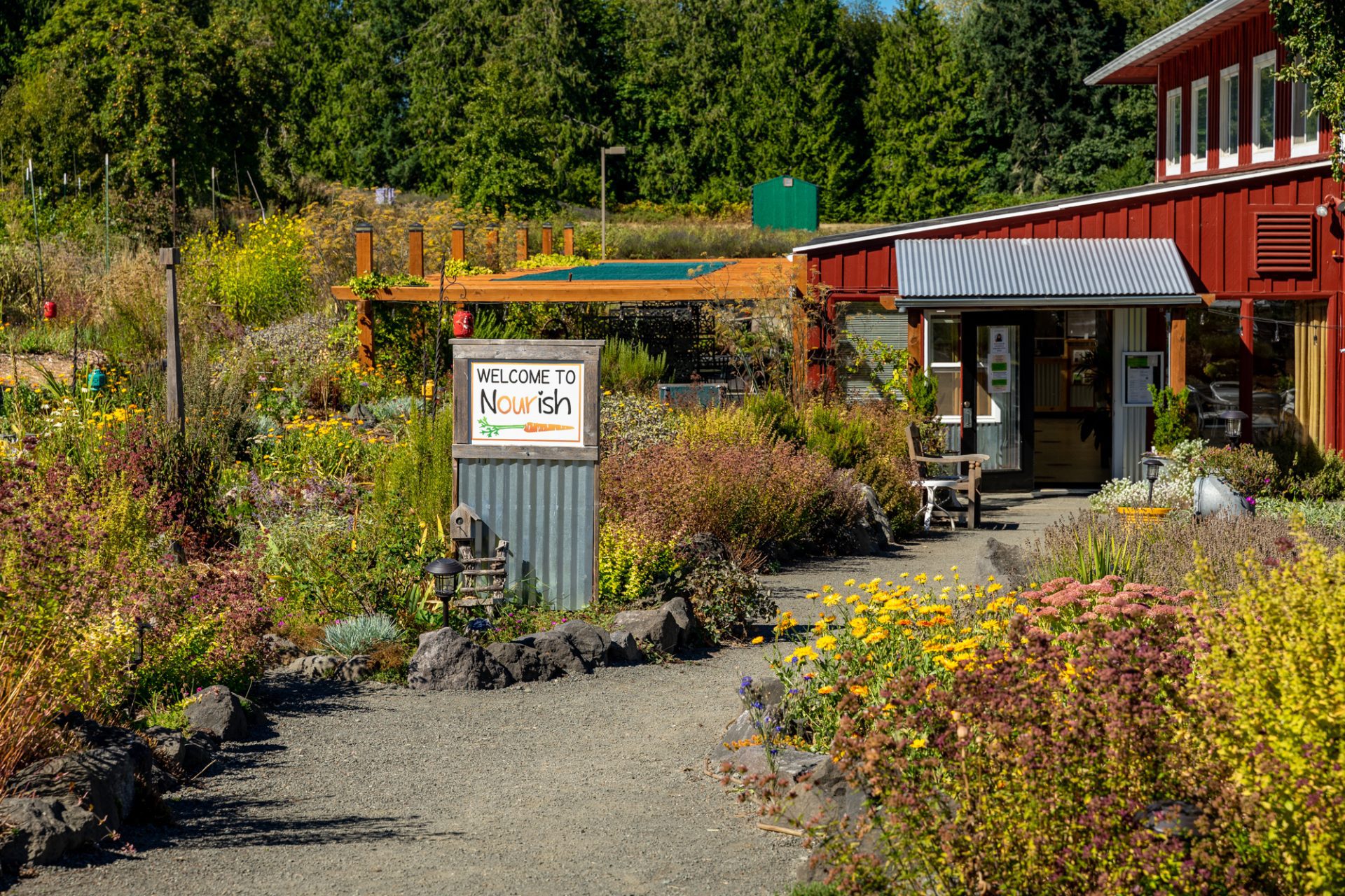 How To Plan An Amazing Olympic National Park Itinerary
