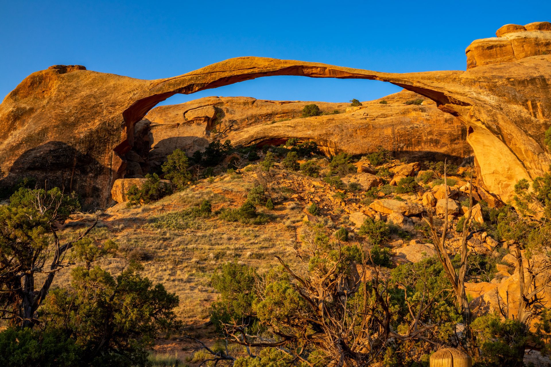 The 12 Best Things To Do In Moab, Utah: A Complete Guide