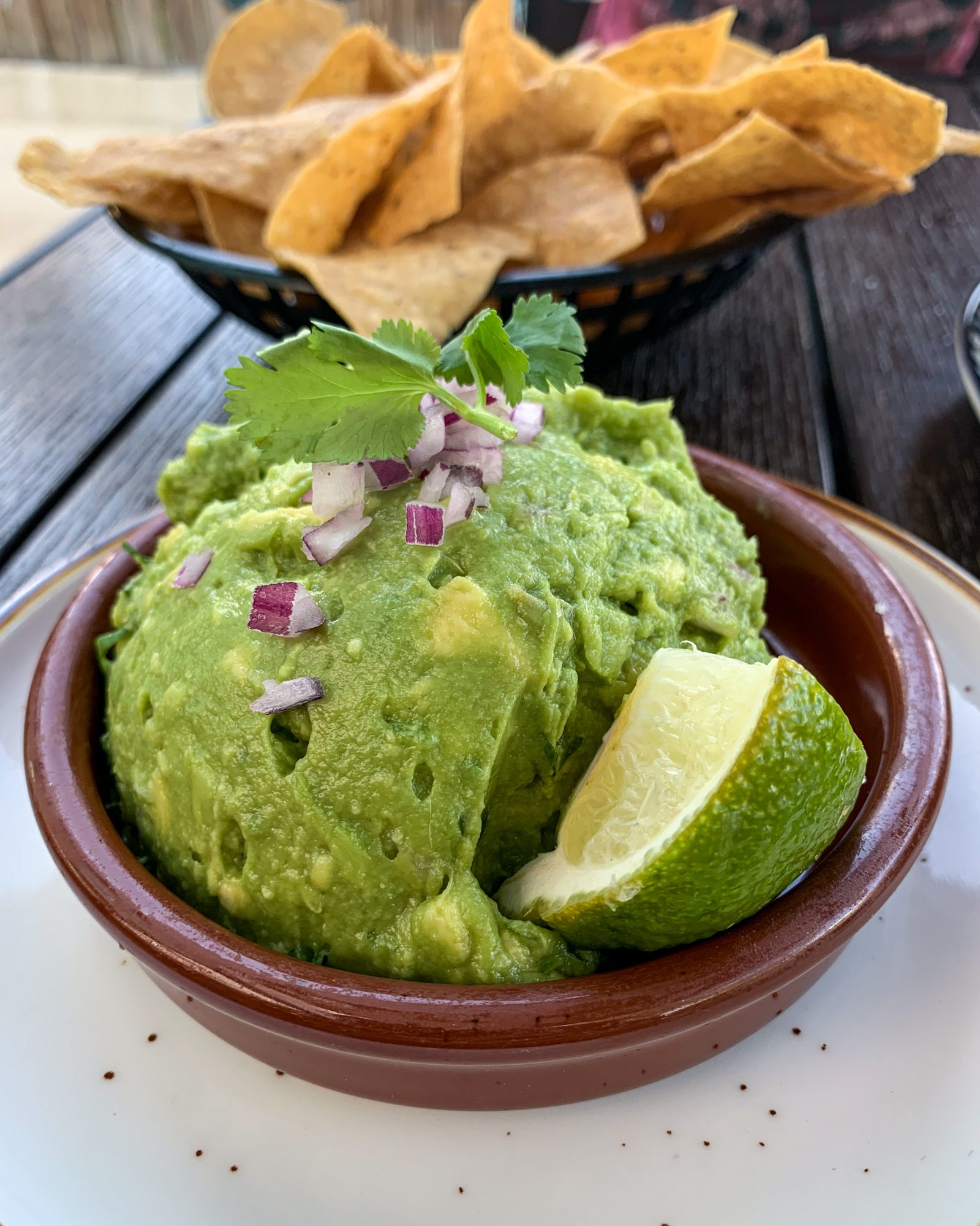 Gluten Free In Boulder, CO: Complete Guide To The Best Gluten Free ...