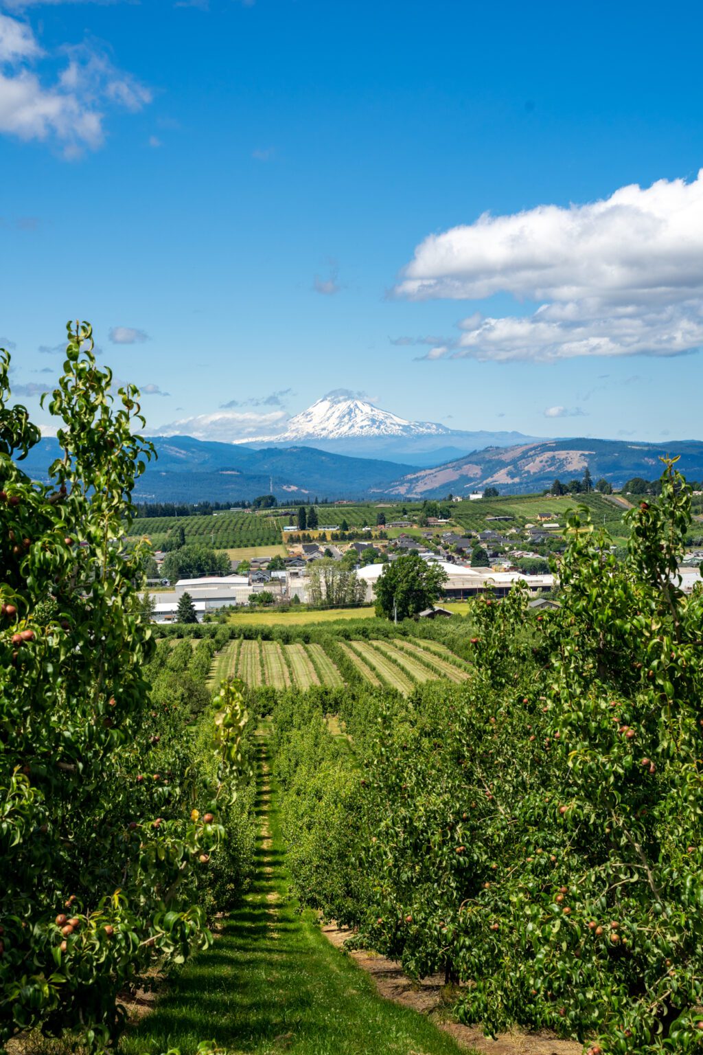 Best Weekend Getaways From Portland (Complete Guide)