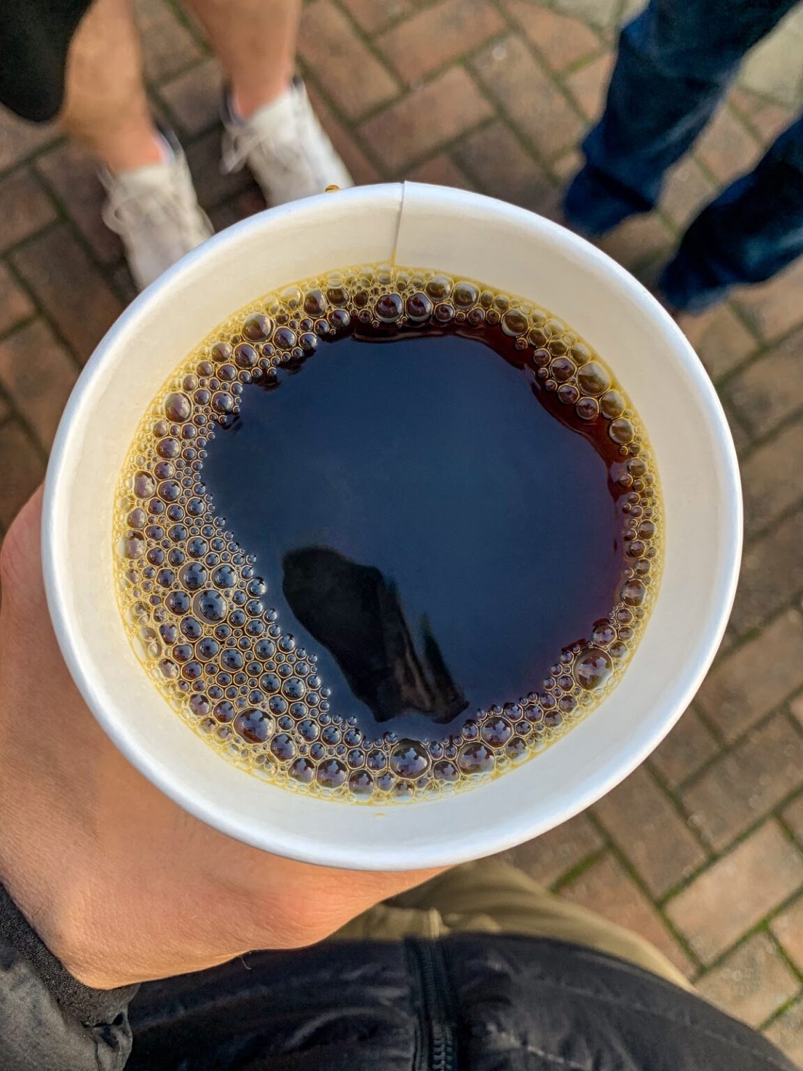 Best Coffee In Seattle: 12 Seattle Coffee Shops, Ranked