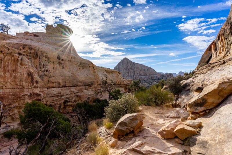 An Amazing Utah National Parks Road Trip: Everything You Need To Know