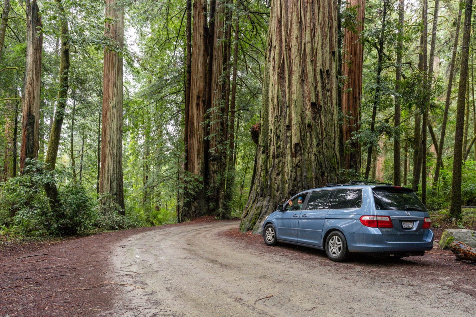 How To Plan An Unforgettable Northern California Road Trip