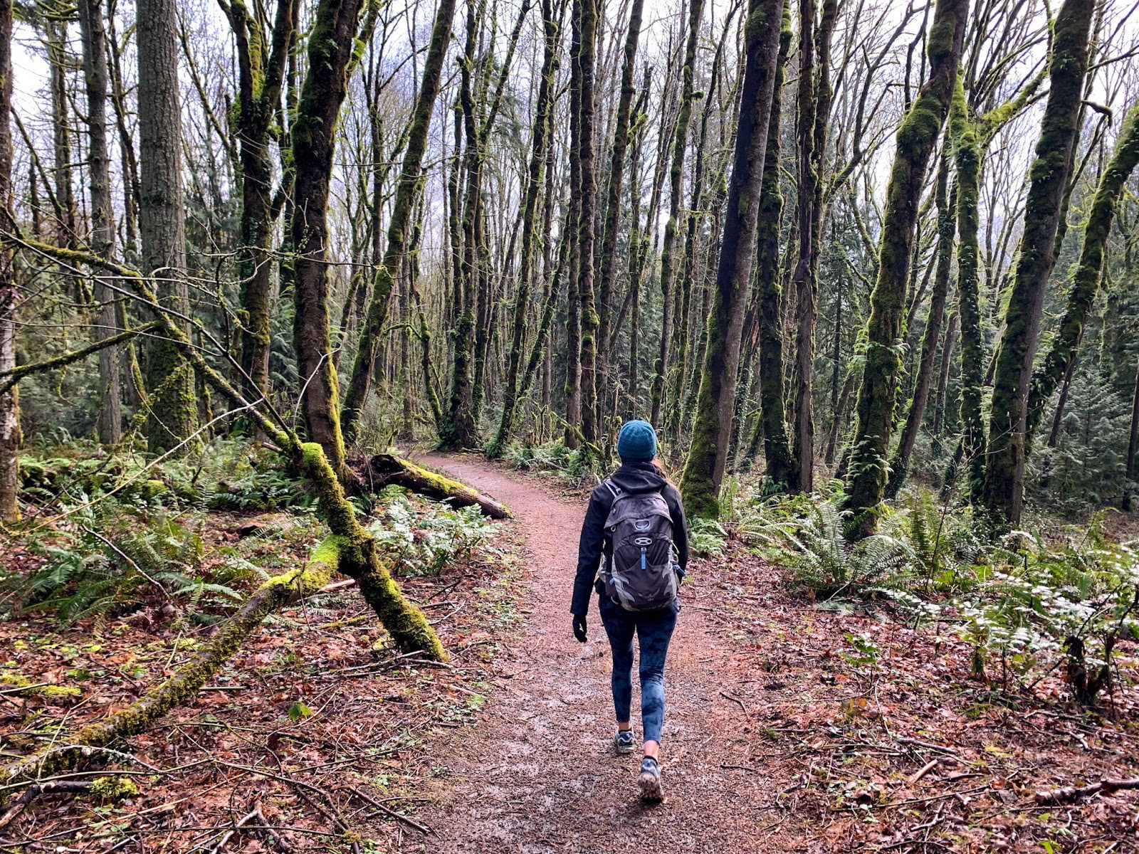 The 12 Best Hikes Near Portland: A Complete Hiking Guide