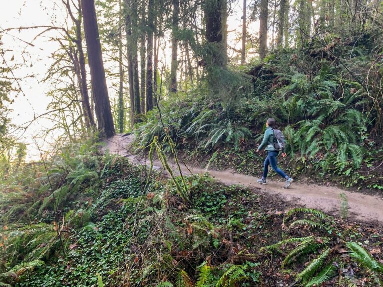 The 12 Best Hikes Near Portland: A Complete Hiking Guide