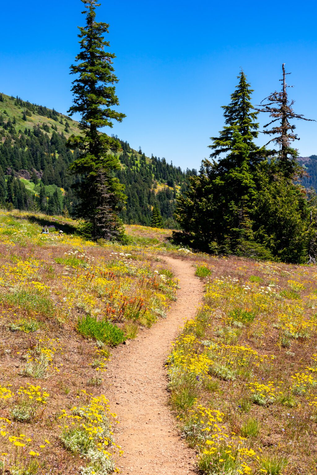 The 13 Best Hikes In Oregon: Complete Oregon Hiking Guide
