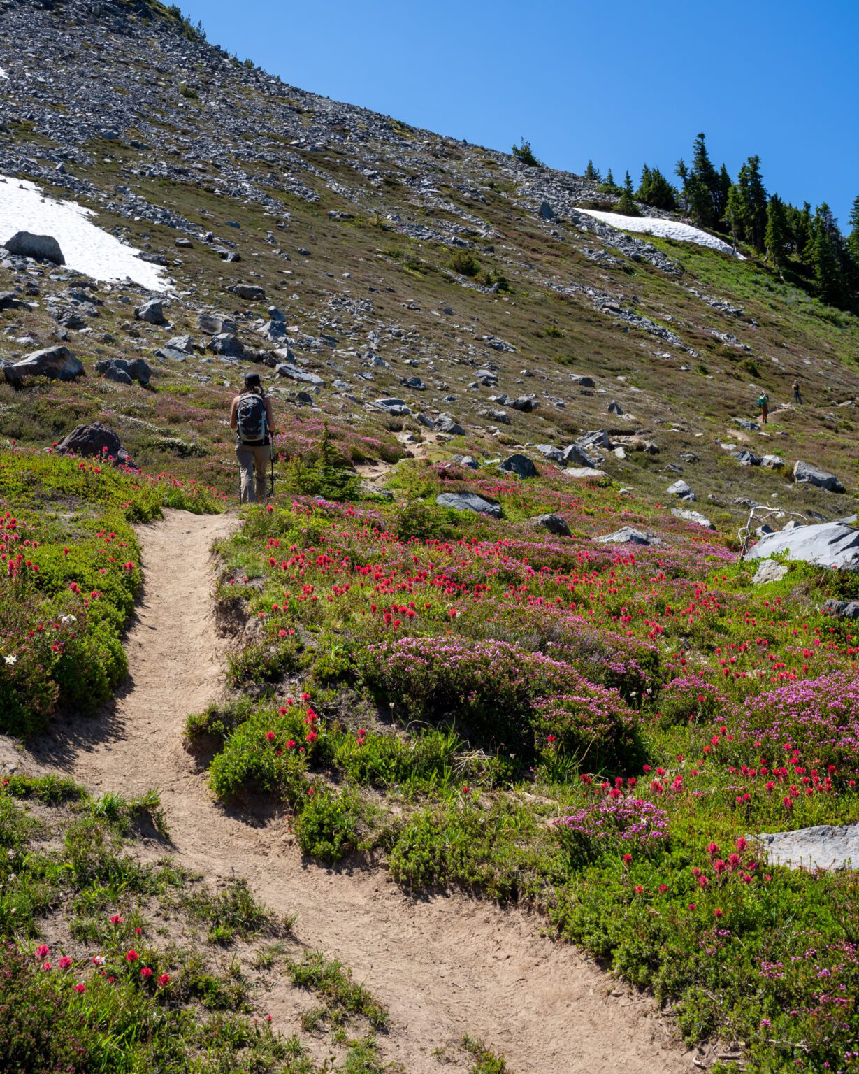 The 13 Best Hikes In Oregon: Complete Oregon Hiking Guide