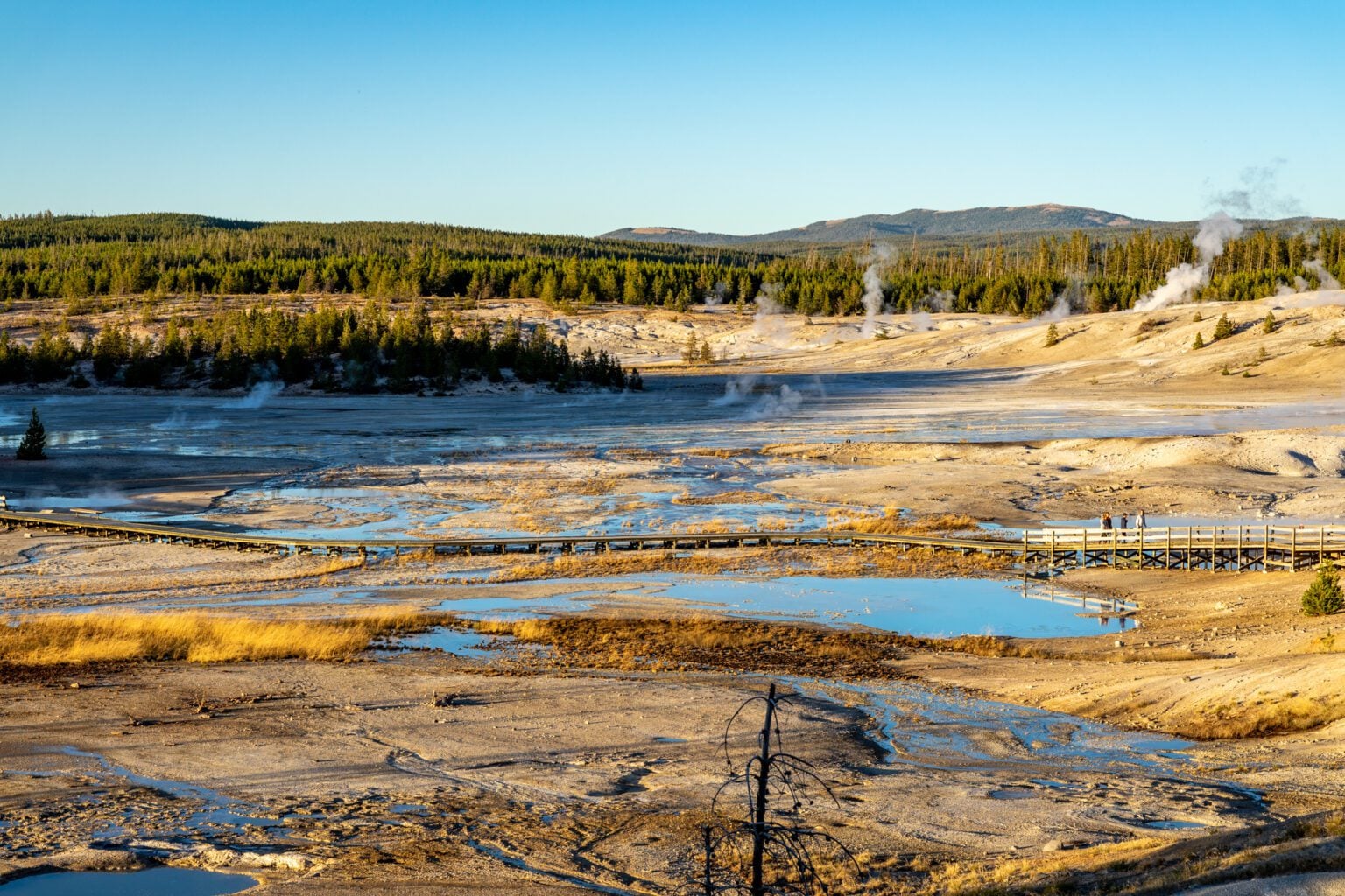 A Perfect 4 Day Yellowstone Itinerary (for First Timers)