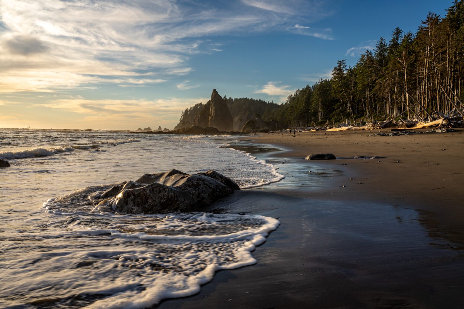 12 Amazing Easy Hikes In Washington: A Complete Guide