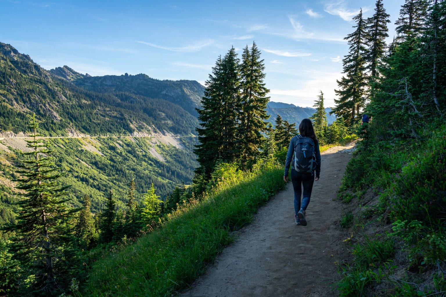 12 Amazing Easy Hikes In Washington: A Complete Guide