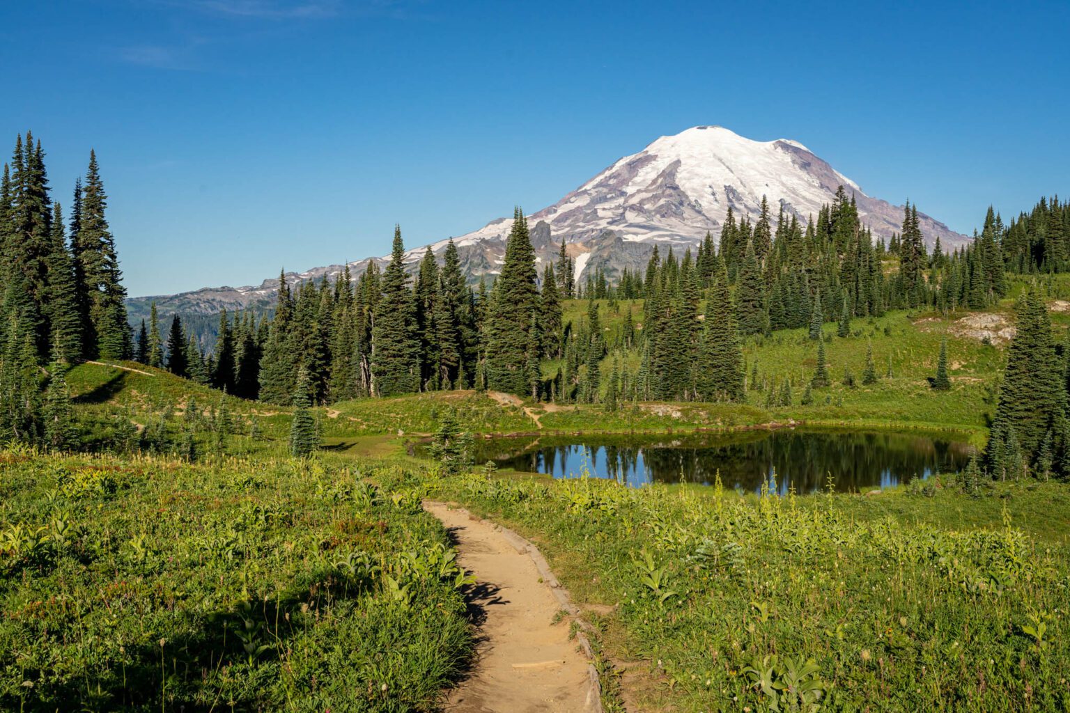 12 Amazing Easy Hikes In Washington: A Complete Guide