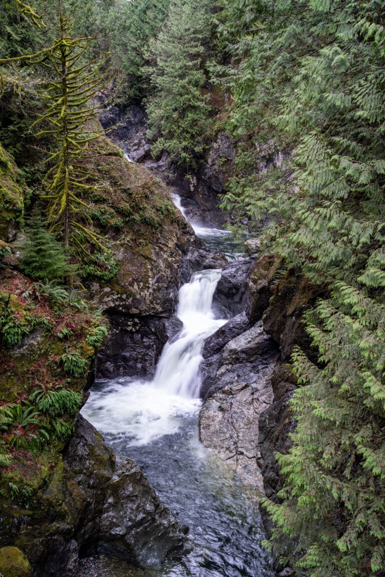 12 Amazing Easy Hikes In Washington: A Complete Guide