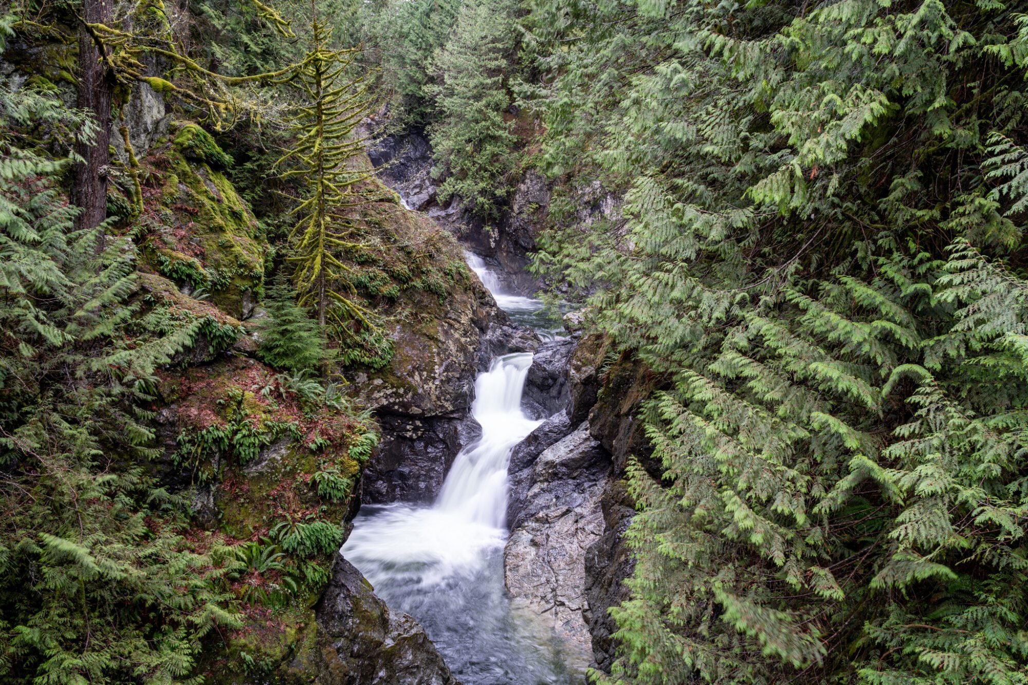 12 Amazing Easy Hikes In Washington: A Complete Guide