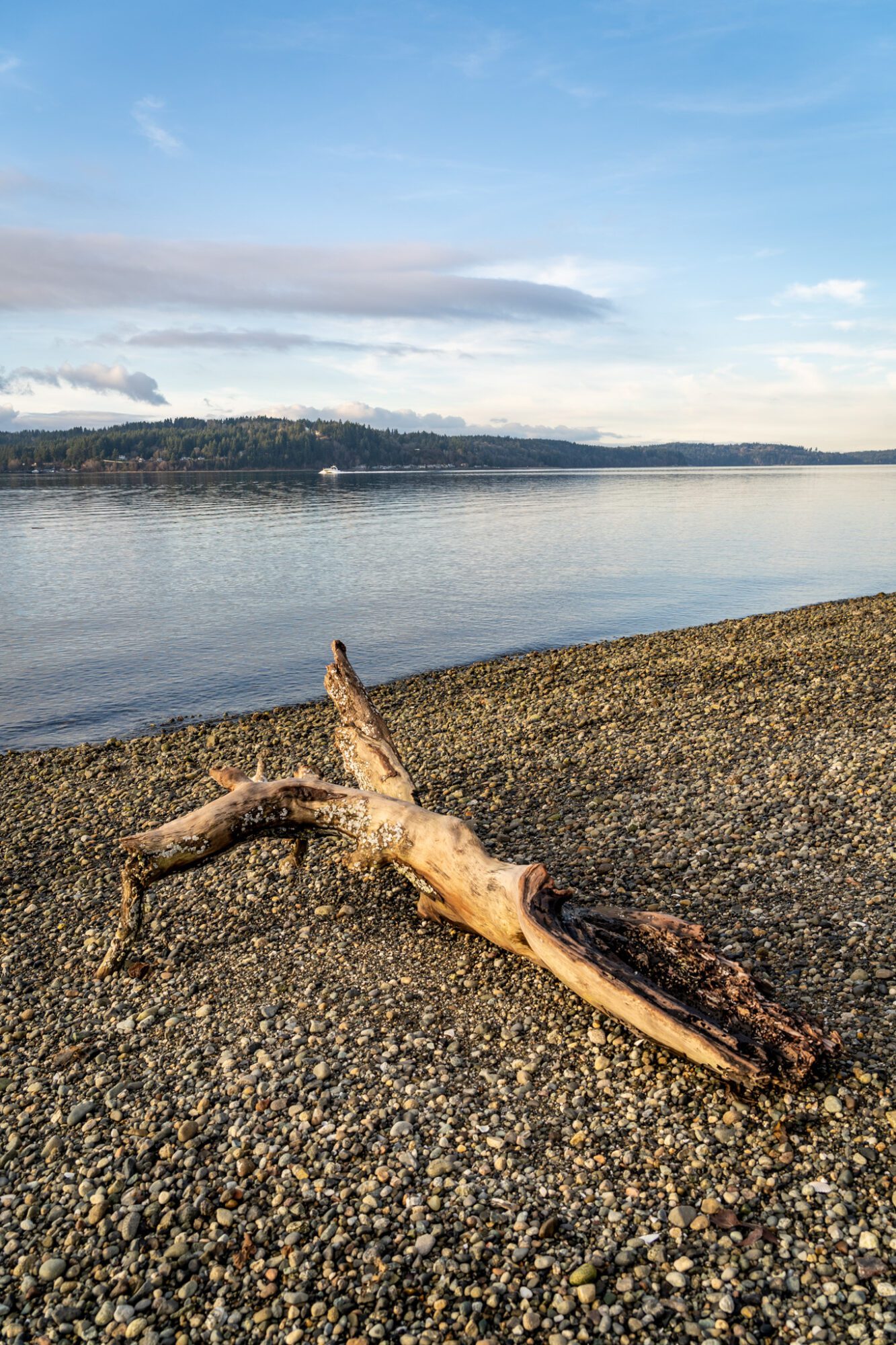 The Best Things To Do On Vashon Island: A Complete Guide
