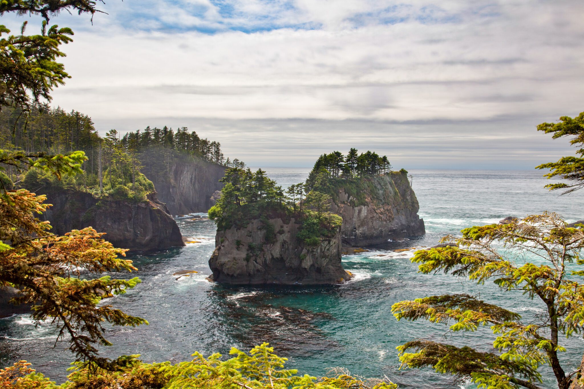 How To Plan An Amazing Olympic National Park Itinerary