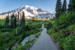 How To Hike The Incredible Skyline Trail At Mt. Rainier