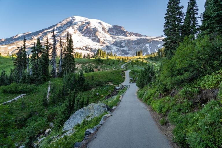 Hiking In Washington: A Complete Guide For First Timers