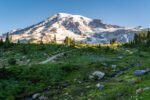 How To Hike The Incredible Skyline Loop Trail At Mt. Rainier