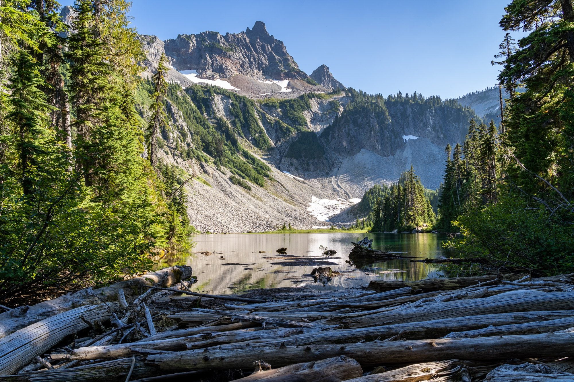 What To Do At Mount Rainier (for First Timers)