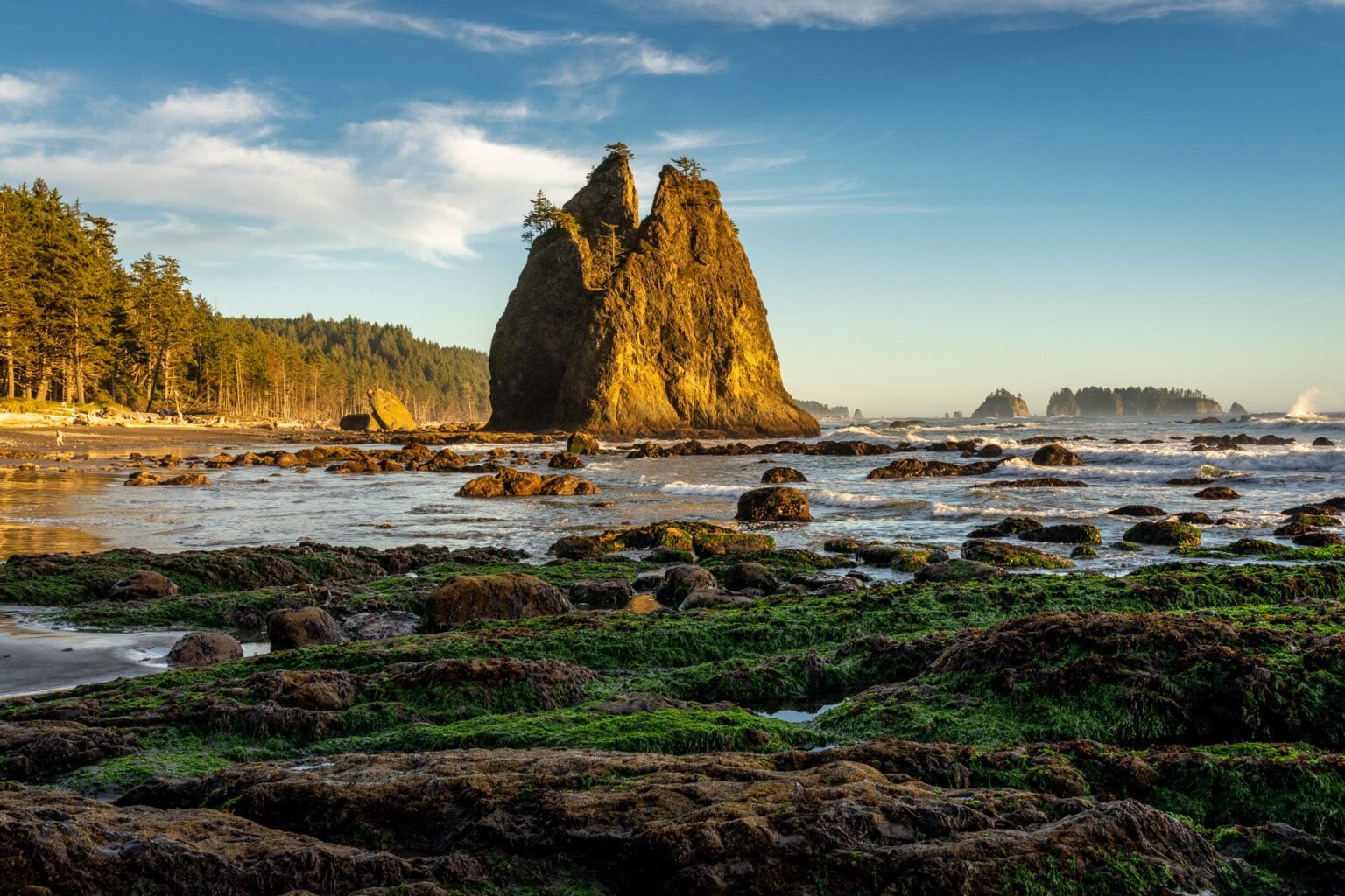 Hiking In Washington: A Complete Guide For First Timers