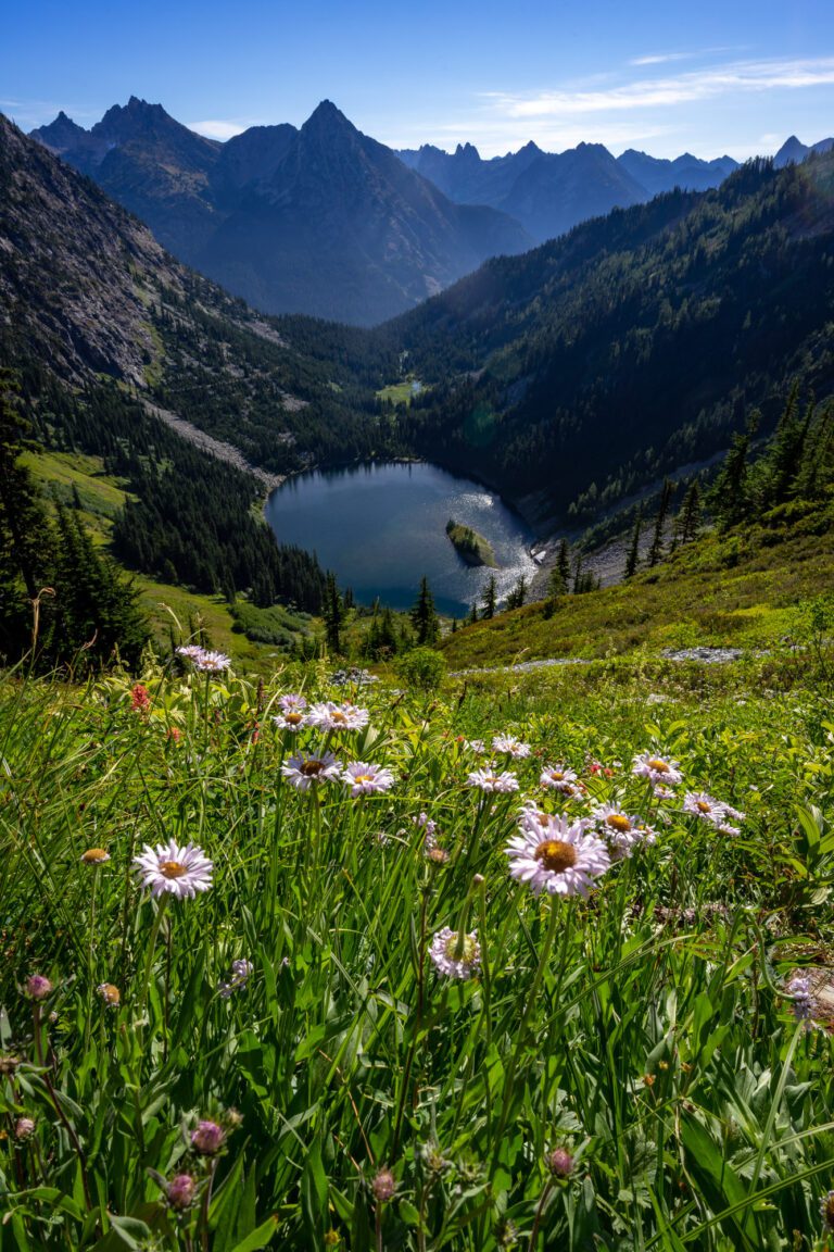 Hiking In Washington: A Complete Guide For First Timers