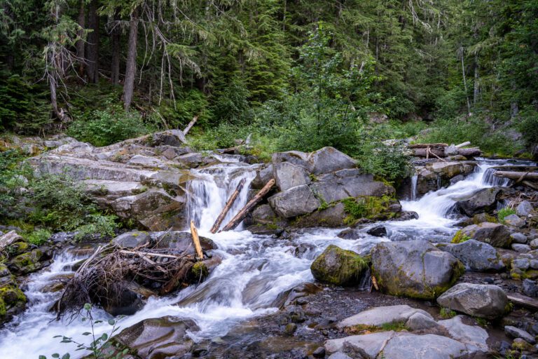 Hiking In Mount Rainier National Park (For First Timers)