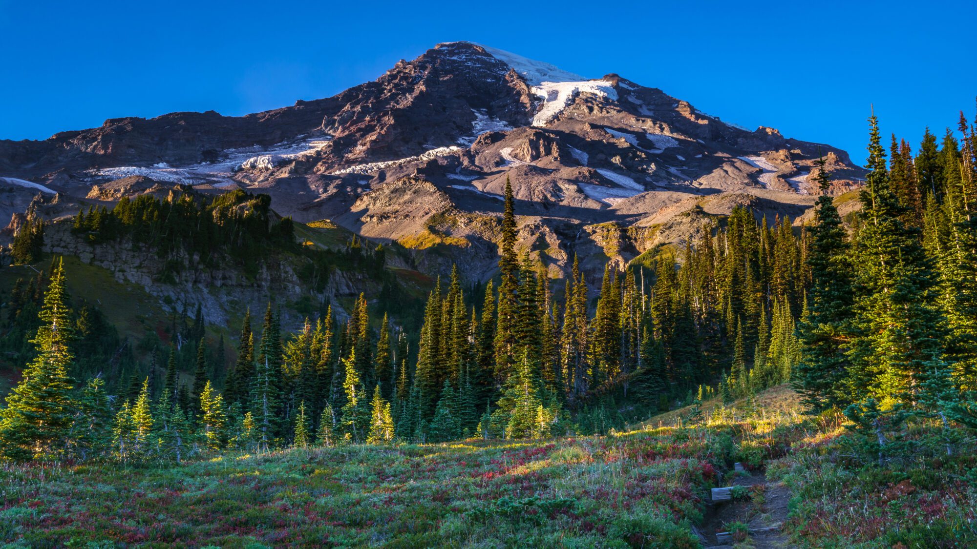 18 Amazing Hikes In Mount Rainier National Park To Hike ASAP