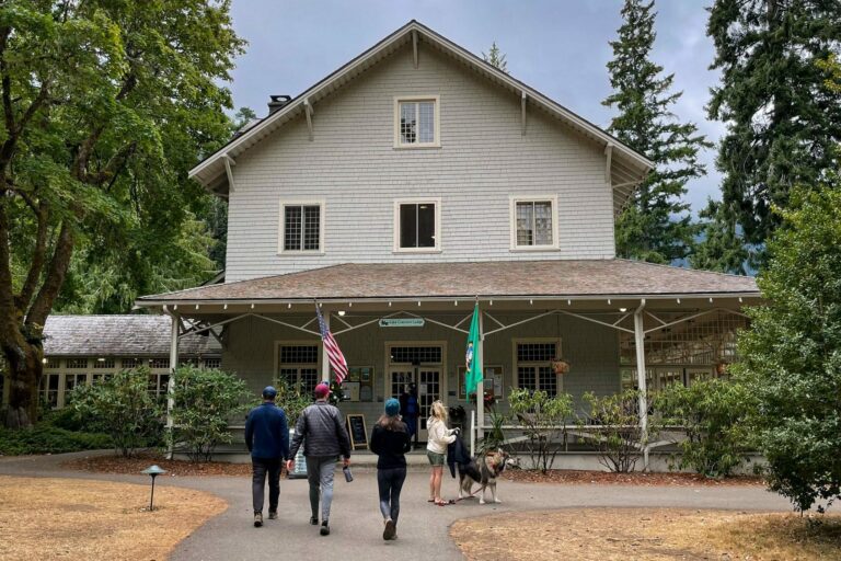 Where To Stay In Olympic National Park (For First Timers)