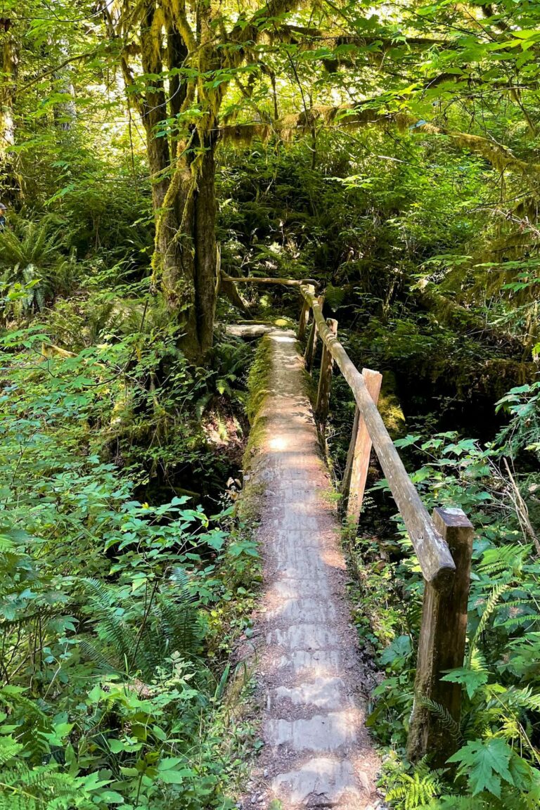 The Amazing Enchanted Valley Trail In Olympic National Park
