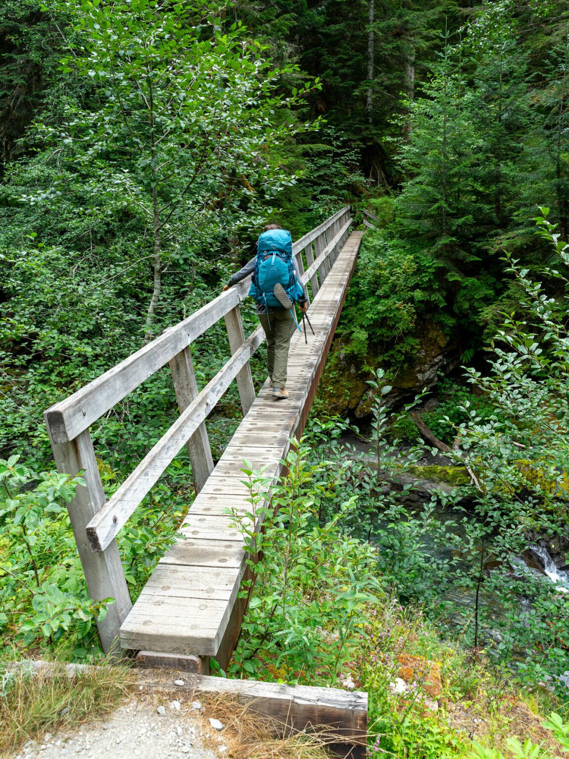 The Amazing Enchanted Valley Trail In Olympic National Park