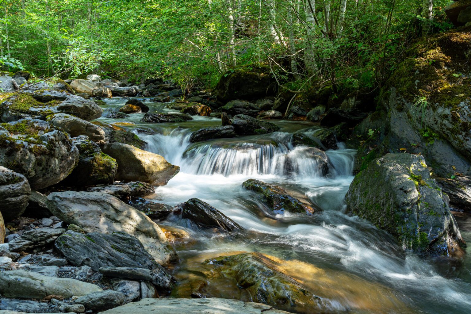 The Amazing Enchanted Valley Trail In Olympic National Park