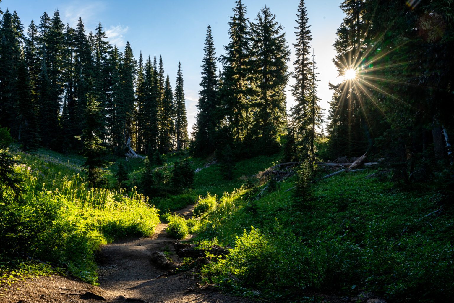 The Naches Peak Loop At Mt. Rainier: A Complete Guide