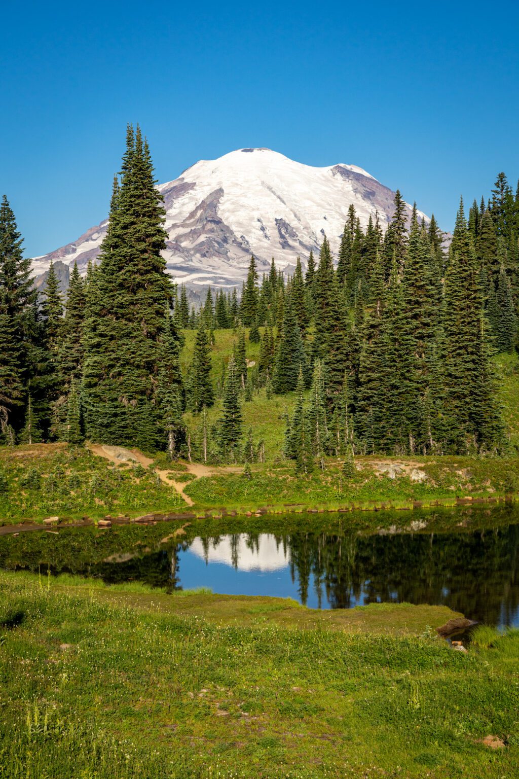 The Naches Peak Loop At Mt. Rainier: A Complete Guide