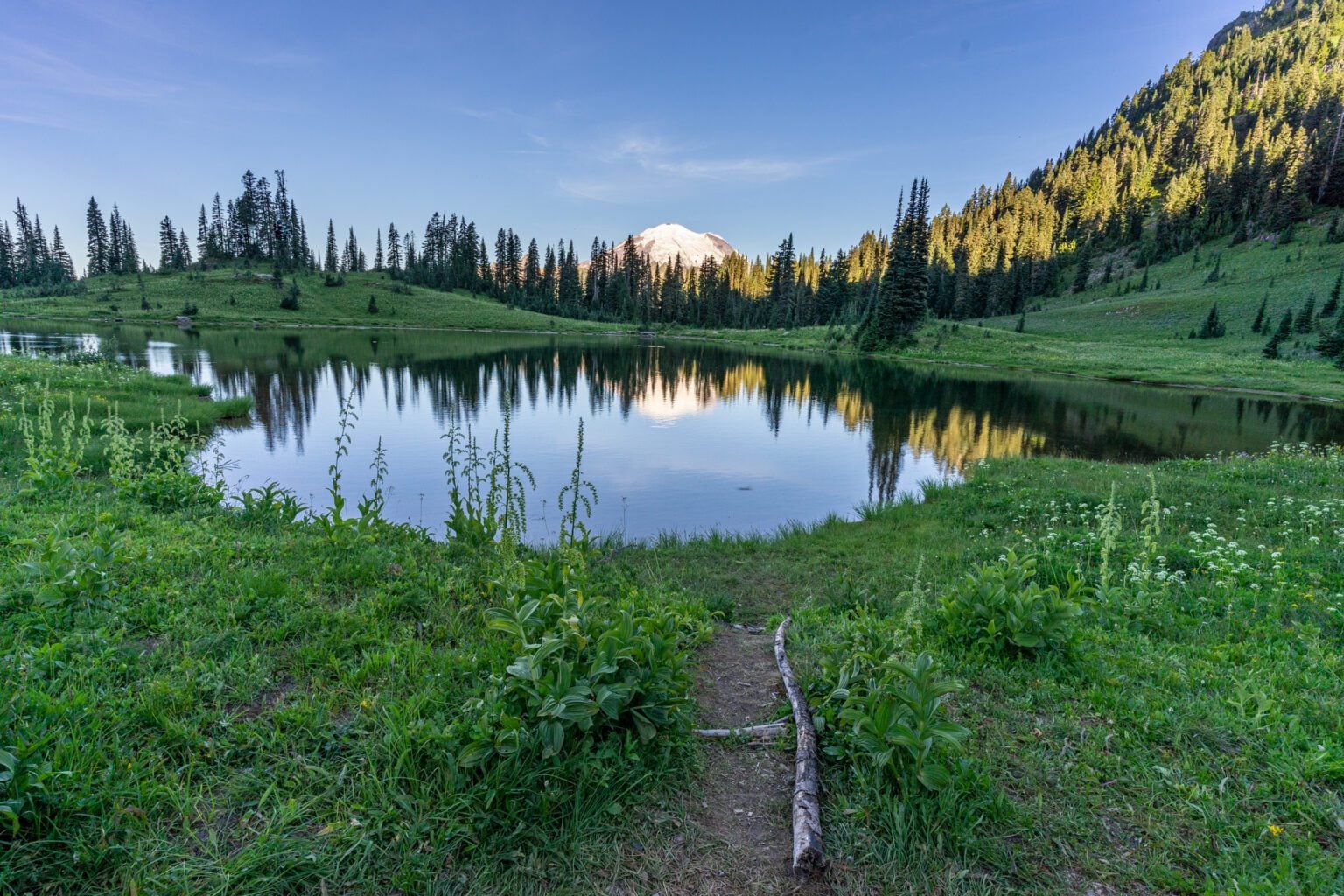 The Naches Peak Loop At Mt. Rainier: A Complete Guide