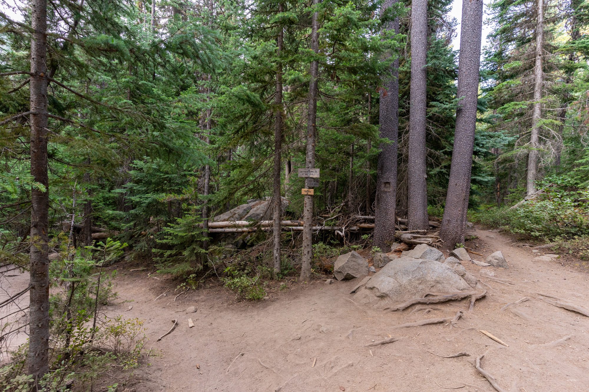 Hiking The Incredible Colchuck Lake Trail: A Complete Guide