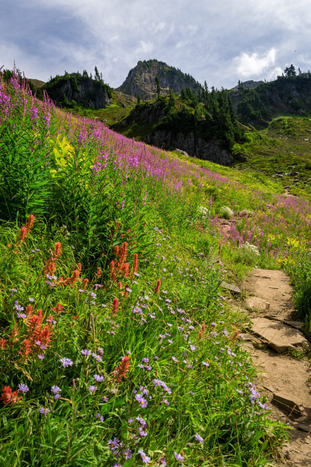Hiking In Washington: A Complete Guide For First Timers