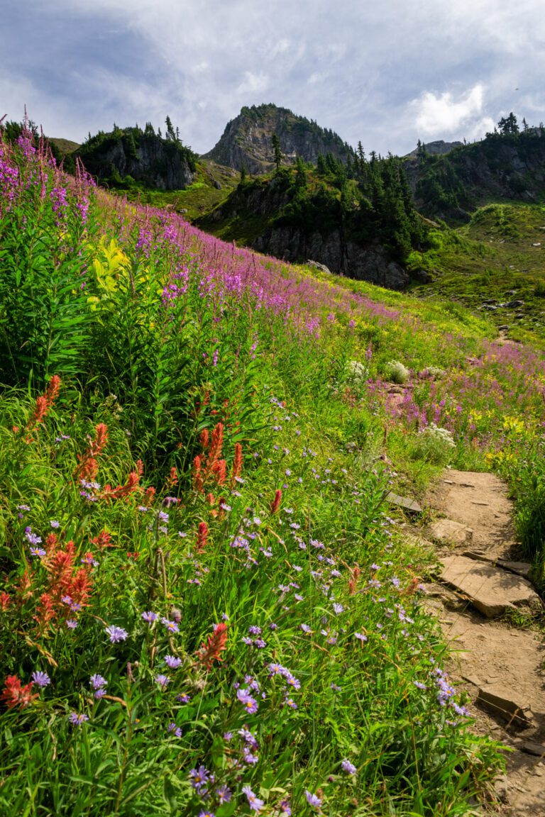 Hiking In Washington: A Complete Guide For First Timers