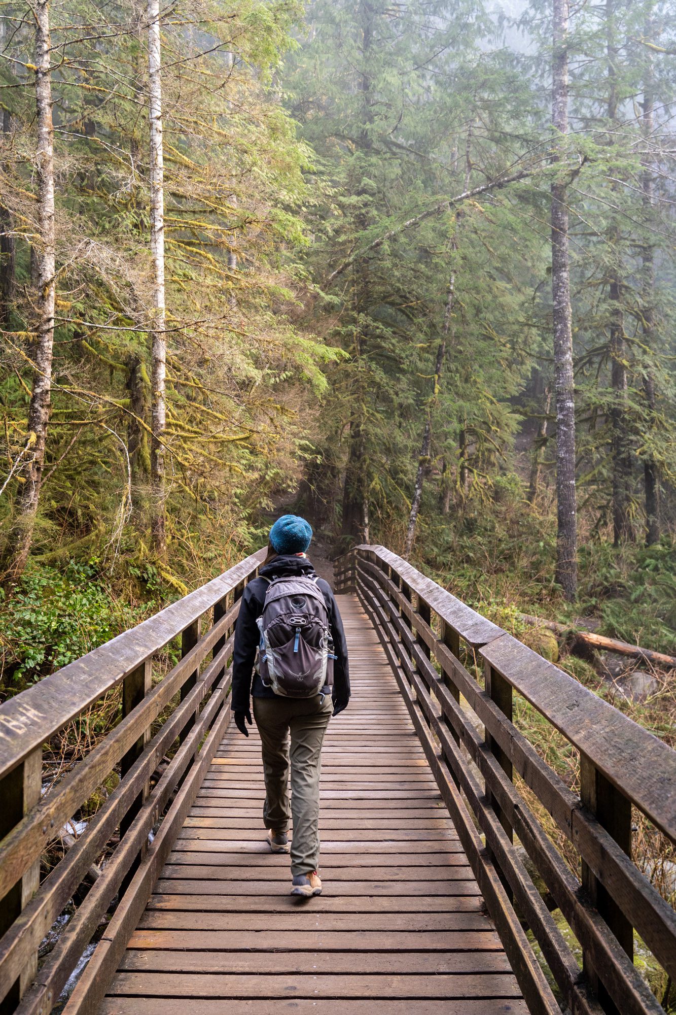 How To Hike The Amazing Wallace Falls Trail (3 Waterfalls!)
