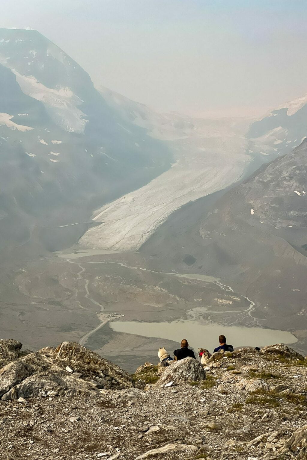 Hiking The Wilcox Pass Trail: A Complete Trail Guide