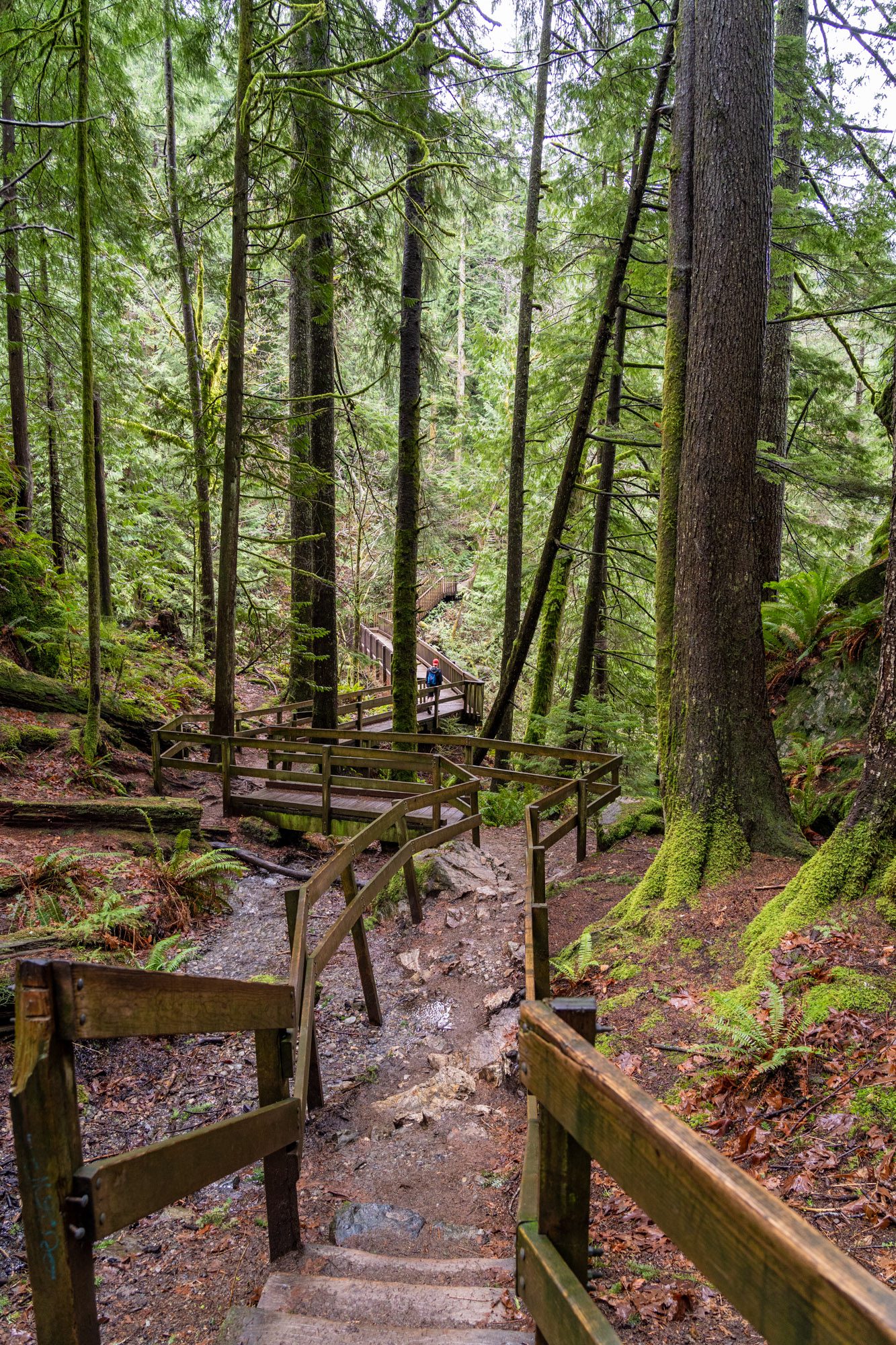 The Magical Twin Falls Trail In Washington: (Complete Guide)