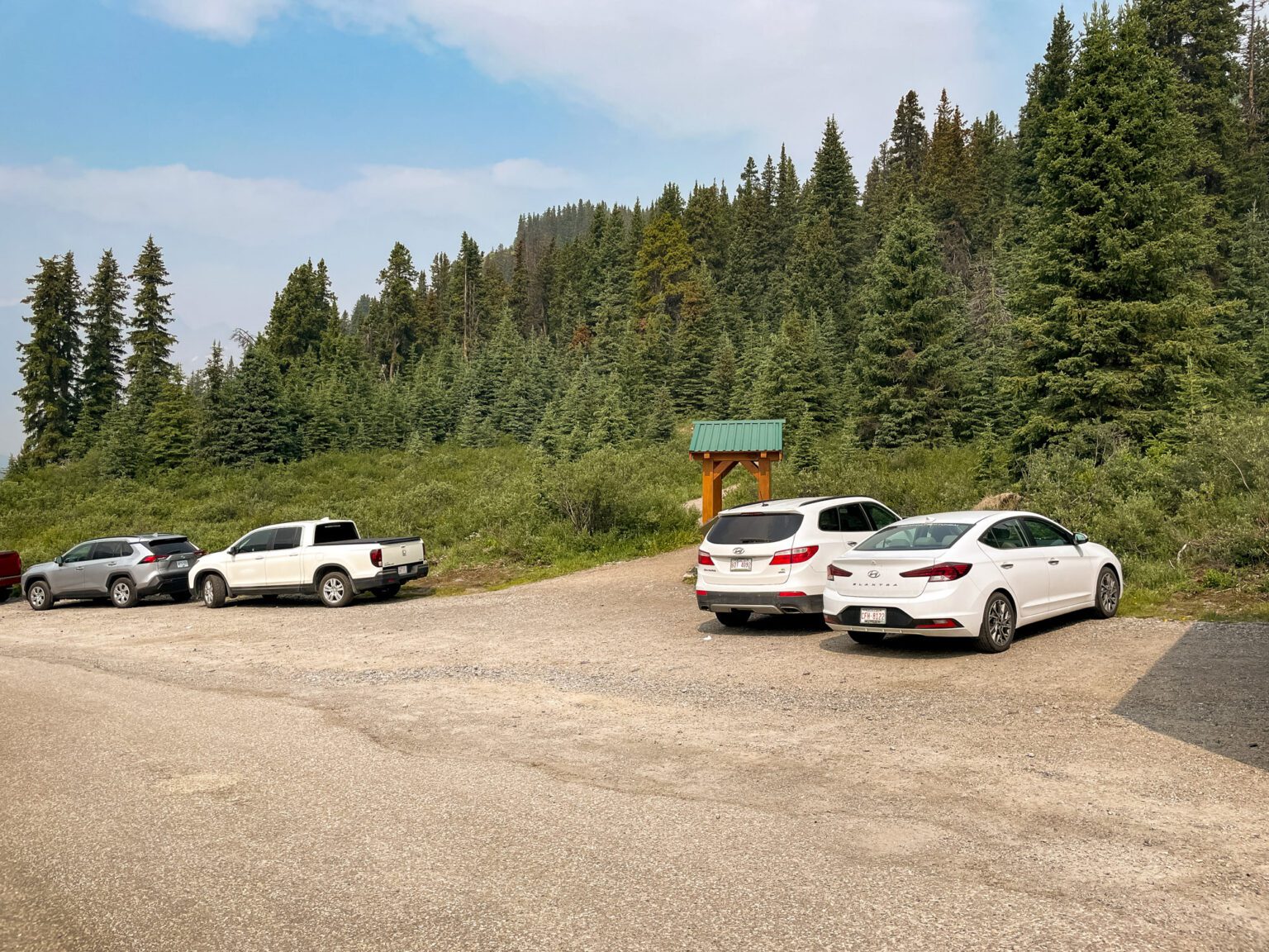 Hiking The Wilcox Pass Trail: A Complete Trail Guide