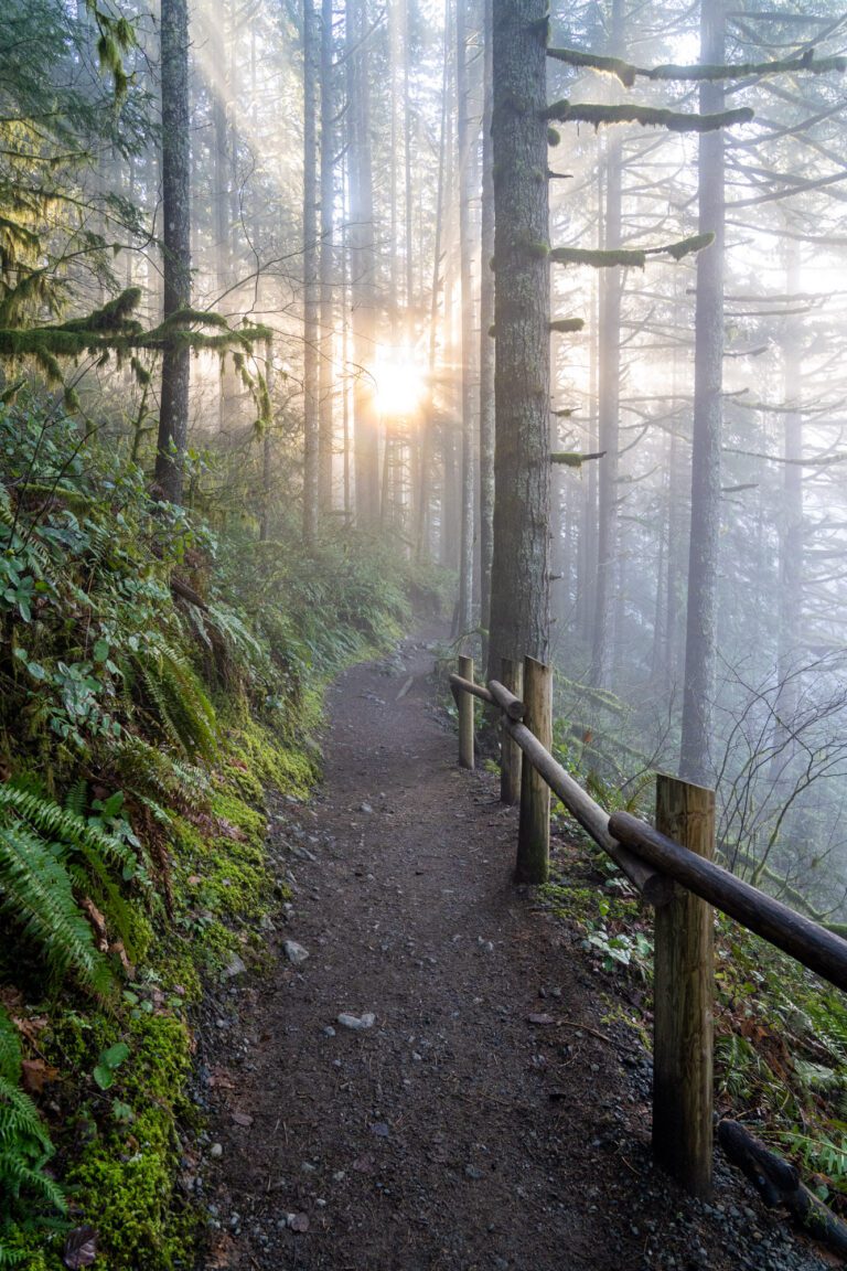 How To Hike The Amazing Wallace Falls Trail (3 Waterfalls!)