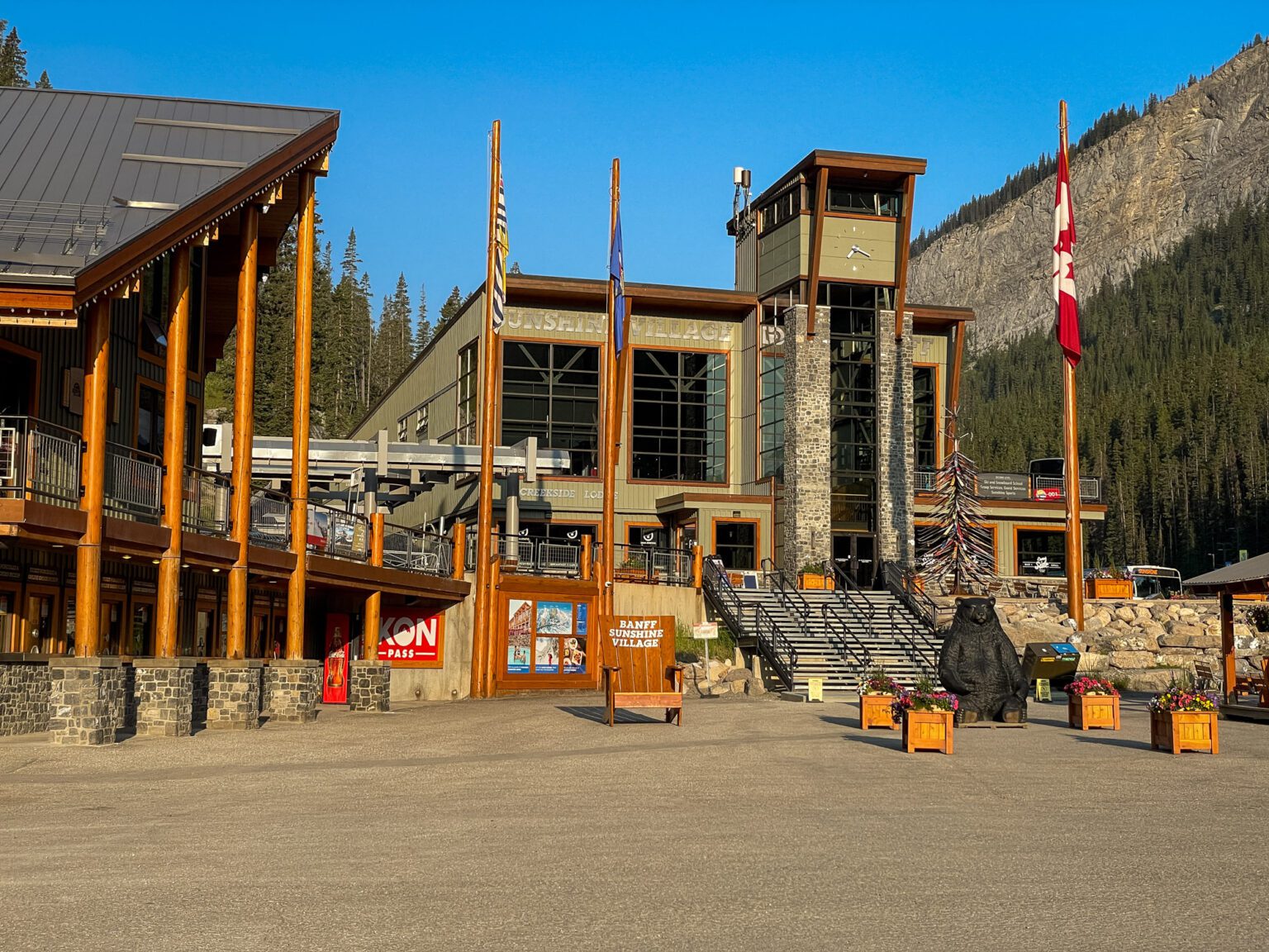 Hiking The Healy Pass Trail In Banff: A Complete Trail Guide