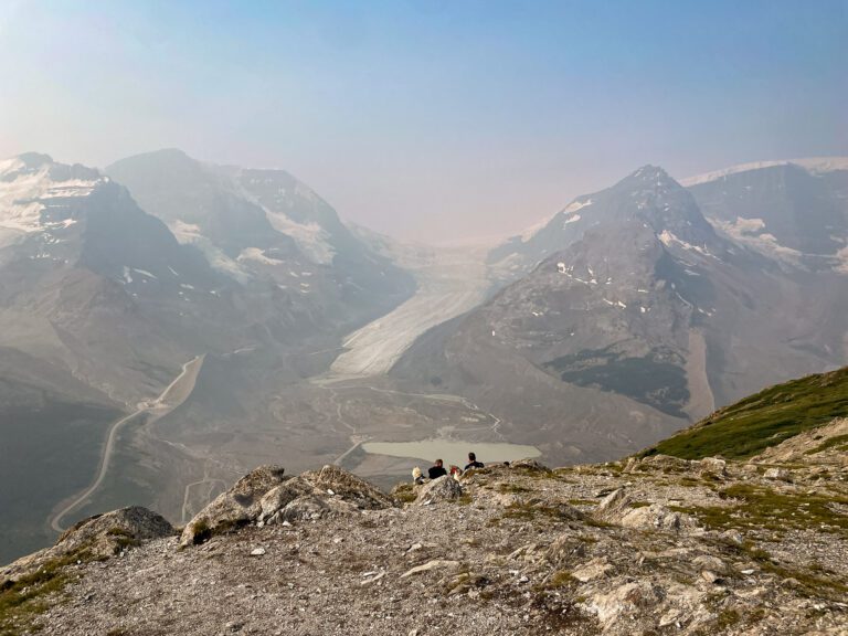 Hiking The Wilcox Pass Trail: A Complete Trail Guide