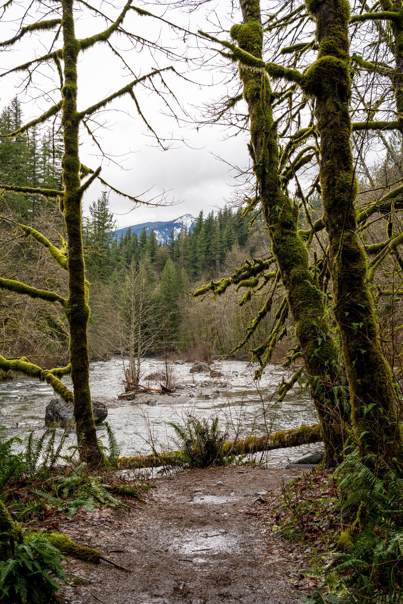The Magical Twin Falls Trail In Washington: (Complete Guide)