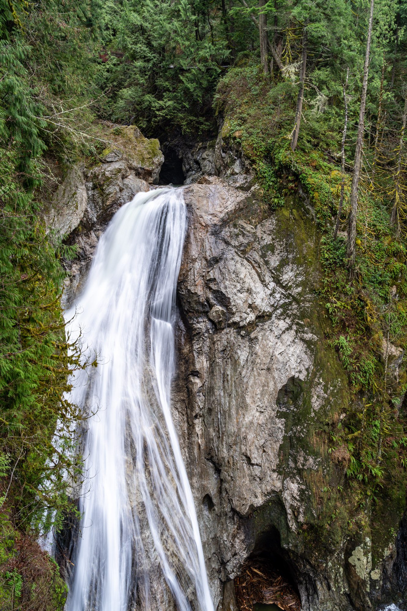 The Best Hikes Near Seattle: A Complete Guide