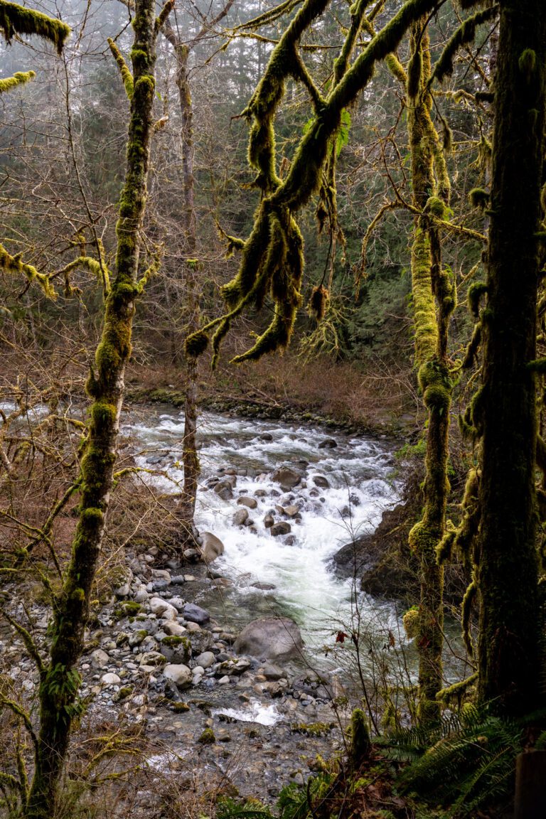 How To Hike The Amazing Wallace Falls Trail (3 Waterfalls!)