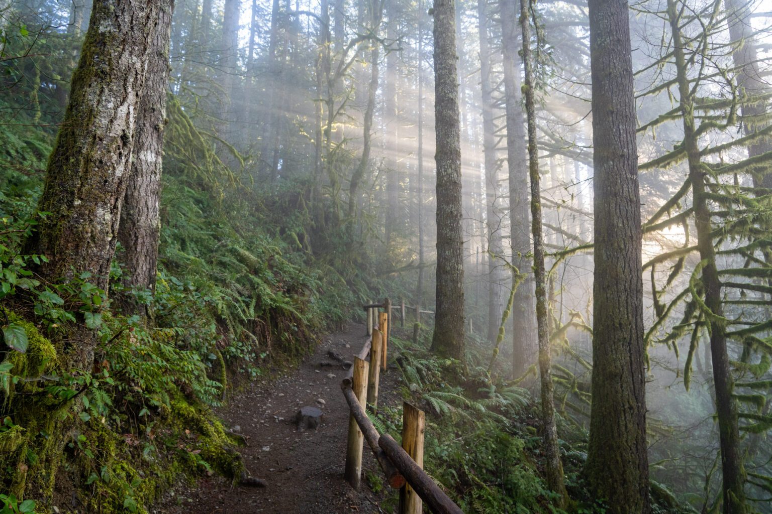 How To Hike The Amazing Wallace Falls Trail (3 Waterfalls!)